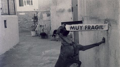 Muy Frágil Iii Bairro Em Festa 2023