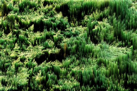 Pixel Sorting Experiments Behance