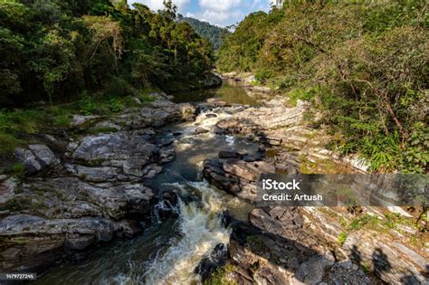 マダガスカル山の川ラノマファナ国立公園マダガスカルの荒野の風景 Ranomafanaのストックフォトや画像を多数ご用意