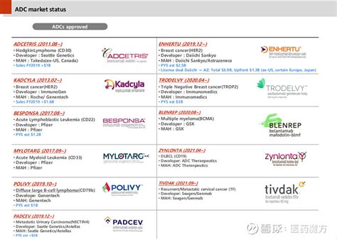 国内首款基石药业ROR 前药ADC申报临床 月 日CDE官网显示 基石药业 注射用CS 的临床试验申请获受理这是一款靶向酪氨酸激酶样孤儿受体 ROR 雪球