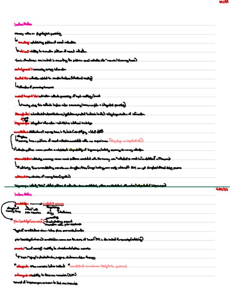Cognitive Psychology Lecture From Fundamentals Of Cognition 111 Lecturenotes Memory