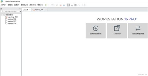 Hadoop集群安装已搭建好可直接使用尚硅谷大海哥的csdn Csdn博客