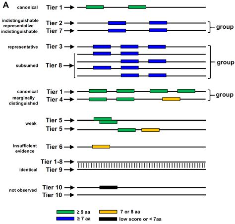 Protein Identification Terminology