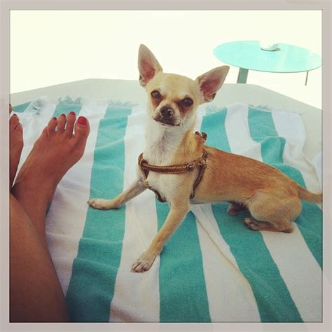 Silvia Superstars Feet I Piedi Di Silvia Superstar Celebrities