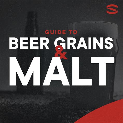 Beer Grains And Malt The Complete Guide For Homebrewers Spike Brewing