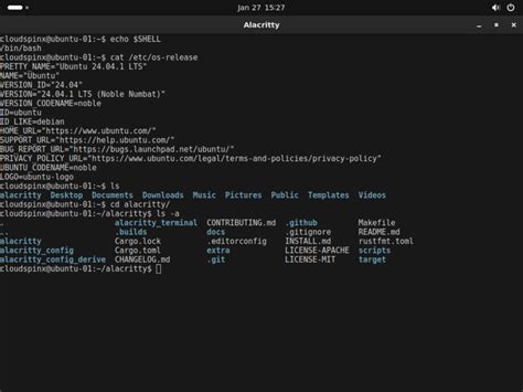 Installing Alacritty Terminal On Ubuntu Cloudspinx