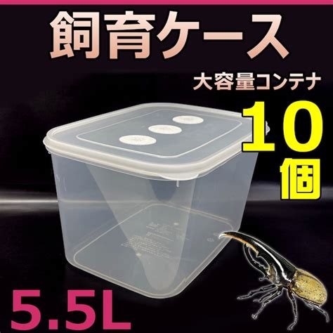 飼育ケース 大容量コンテナ 55l 新品 10個 おまけ付 国産 外国産カブトムシ 幼虫飼育に最適 ビートルショップ リアルくまモン