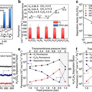 Gas separation performance through the g-C3N4 membranes a Single gas ...