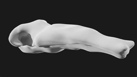 3d Skull Of Ant Eater Turbosquid 1958165