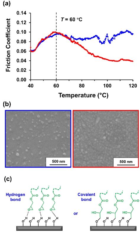 Figure 1 From Enhanced Adsorption Of Epoxy‐functional Nanoparticles Onto Stainless Steel