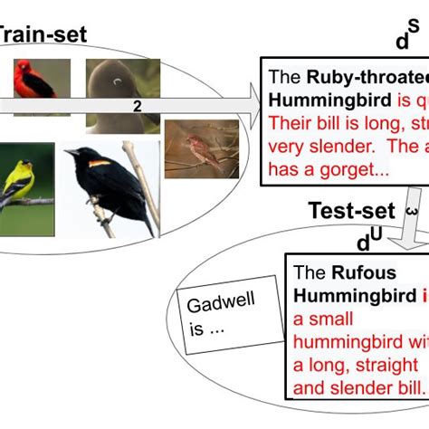 The Nearest Neighbor Similarity Nns Model Links Images And Texts