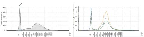 Examples Of Successful Cdna Libraries Analyzed On An Agilent