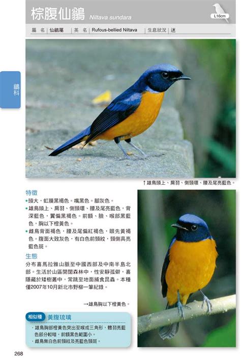 台灣野鳥圖鑑陸鳥篇 PChome 24h書店