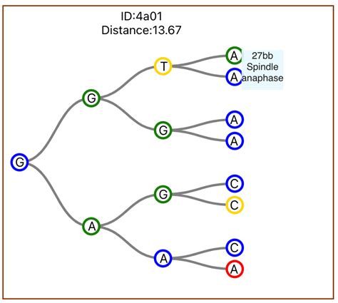 Visual Tree Comparison VEDU