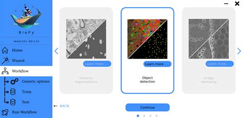 Object Detection Biapy Documentation