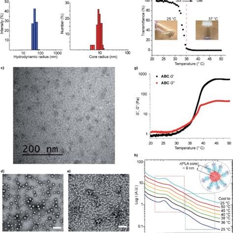 A Dls Analysis Of Aqueous Self Assembly Of Abc Triblock Copolymer