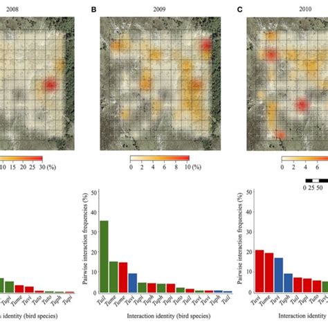 In The Upper Panels We Show The Spatial Distribution Of The Sum Of