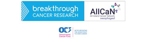 Ocf Joins The Allcan Network Oesophageal Cancer Fund