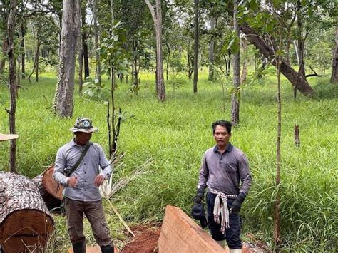 បណ្ឌិត សុខ ទូច ថ្លែងថា ព្រៃឈើឧទ្យានរាជបណ្ឌិតសភាកម្ពុជាតេជោសែនឬស្សីត្រឹបនៅតែរងការកាប់បំផ្លាញ