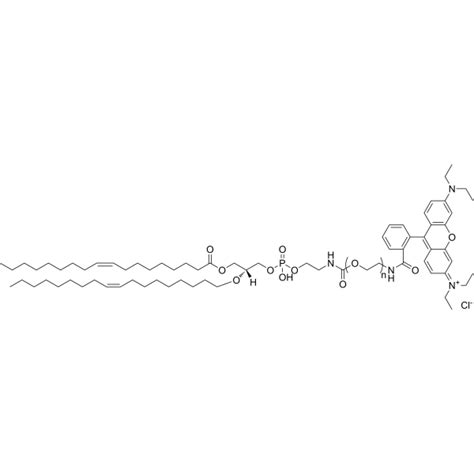 DOPE-PEG-Rhodamine B (MW 2000) | Fluorescent Lipid | MedChemExpress