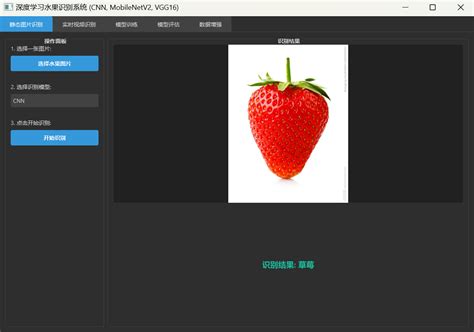 基于pyqt5与深度学习的可视化水果识别系统（集成cnn Mobilenetv2 Vgg16） Csdn博客