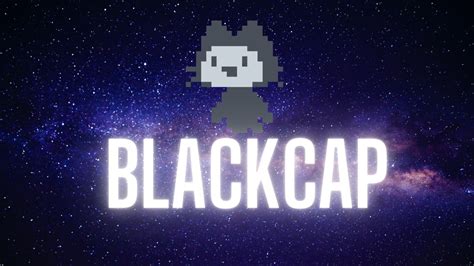 Token Logger Github Topics Github