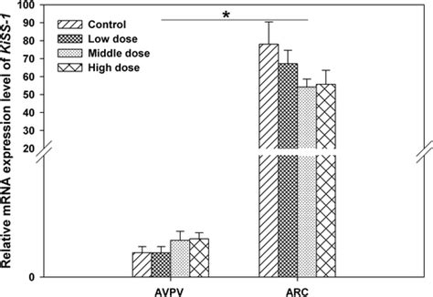 Differences In Kiss 1 Expression Between The Anteroventral
