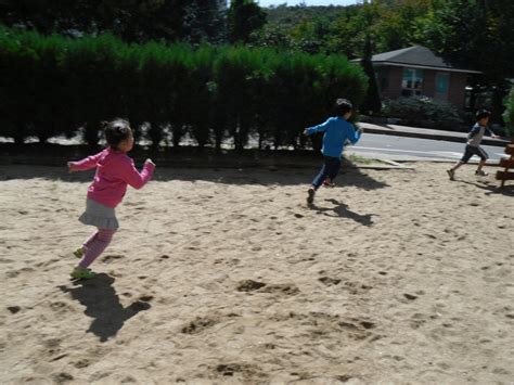 ☆과학의 날 행사 그림자 놀이☆ 2010학년도 친구들 교육으로 앞서가는 신안유치원