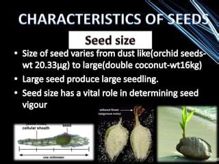 Seed Structure And Development PPTX