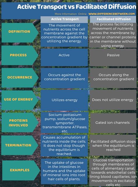 Difference Between Active Transport And Carrier Proteins Transport