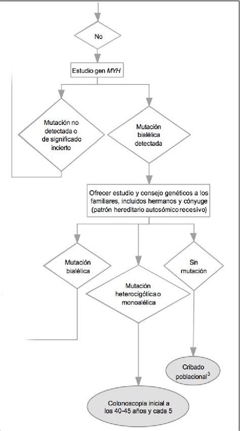 Fragmento del algoritmo Diagnóstico genético y seguimiento de la Download Scientific Diagram
