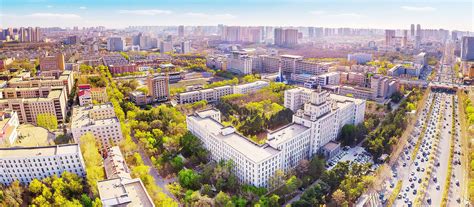 成果展示 东北林业大学家具设计与工程