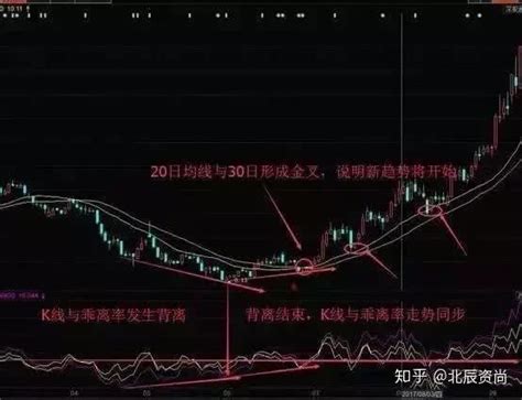 Bias指标使用技巧详解，简单又实用 知乎
