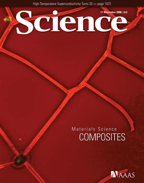 Composites In Armor Science