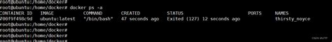 【docker】docker学习之一：离线安装docker步骤 Csdn博客