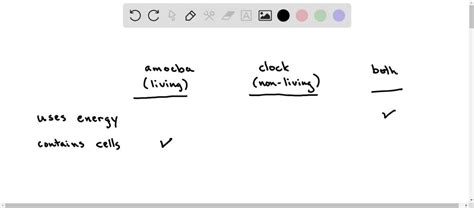 Drag Each Label To The Correct Location On The Image Classify Each