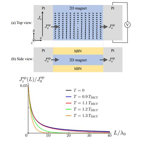 Transport Signature Of The Magnetic Berezinskii Kosterlitz Thouless