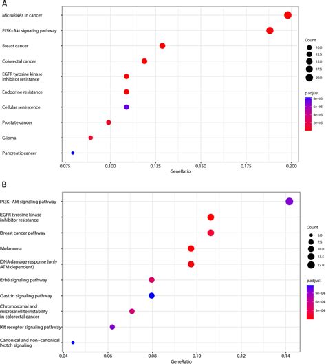 Overrepresentation Analysis Of Genes Targeted By Significant Mirnas A