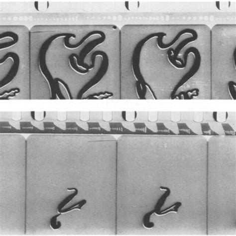 Fotogramas E Pista De Som De Loops Fonte The Handwritten Sound Track