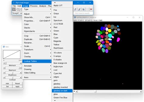 Using Cellpose Tracking Organoids
