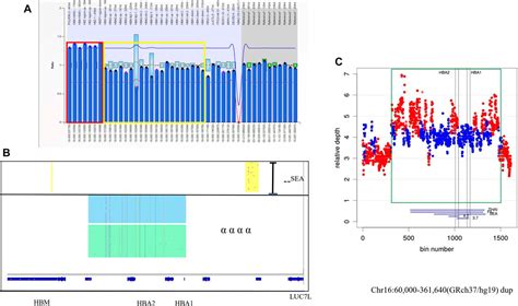 Frontiers Utilization Of Multiple Genetic Methods For Prenatal