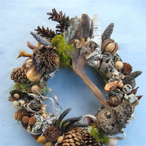 Dried Seed Pods Etsy