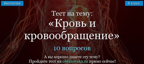 Тест по биологии 8 класс Кровь и кровообращение с ответами онлайн