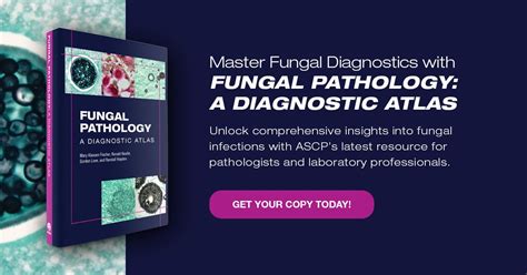 Pathology Medicaleducation Laboratoryscience