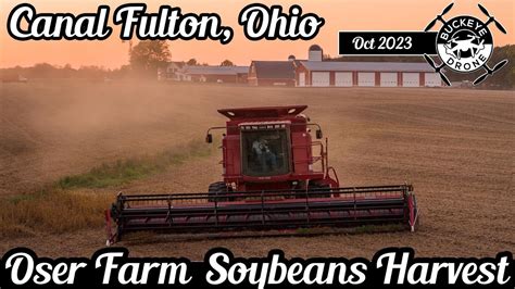 Oser Farm Soybeans Harvest 2023 Canal Fulton Ohio Youtube