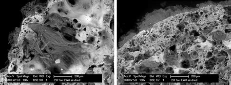 11 Inner Surface And Pores Of Lwa Which Were Impregnated With The