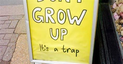 Solid Advice Album On Imgur