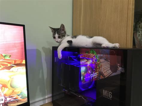 1stPlayer Miku Mi6 build (D31 clone) : r/mffpc
