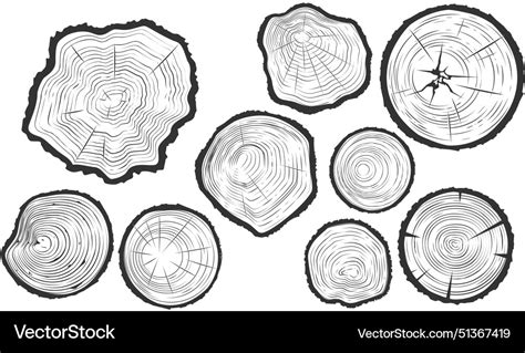 Tree Trunk Cuts With Cracks Wood Saw Set Vector Image