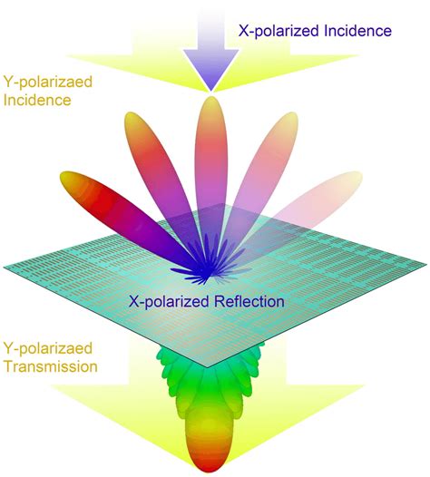 The Schematic Of The Anisotropic Coding Metasurface Under The Normal Download Scientific